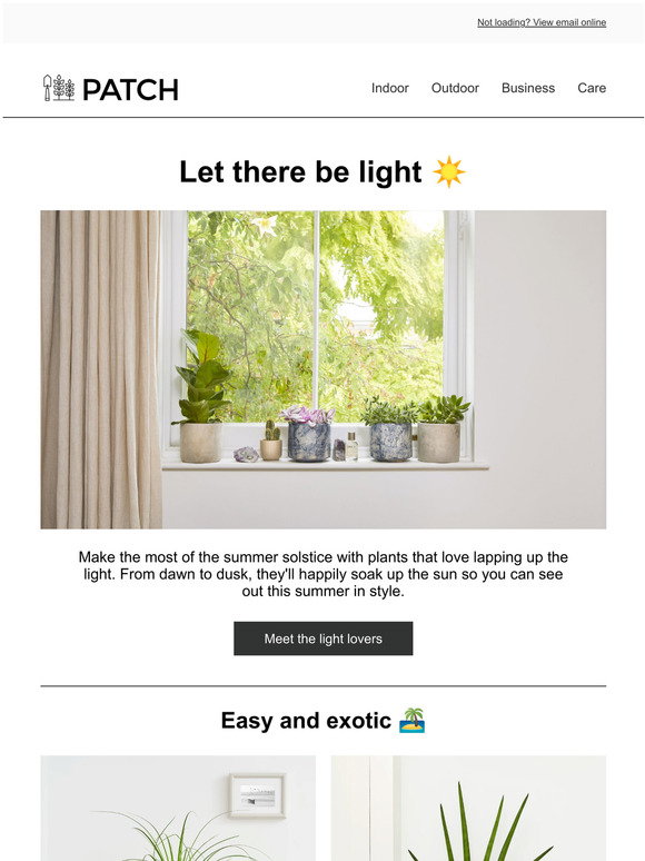 Patch Plants: These plants love the light 😎 | Milled