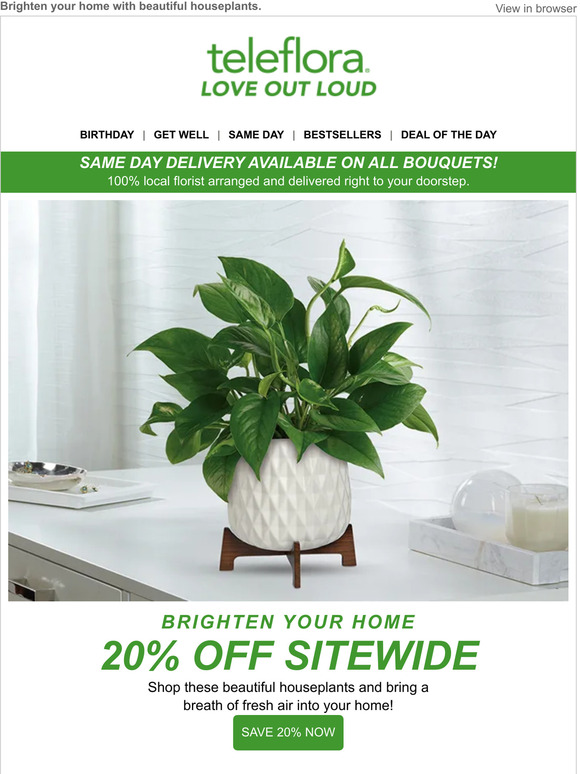 Teleflora: Just added: NEW plants 🌿 20% OFF | Milled