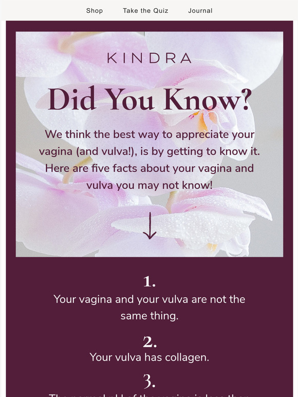 Kindra Get To Know Your Vulva Milled
