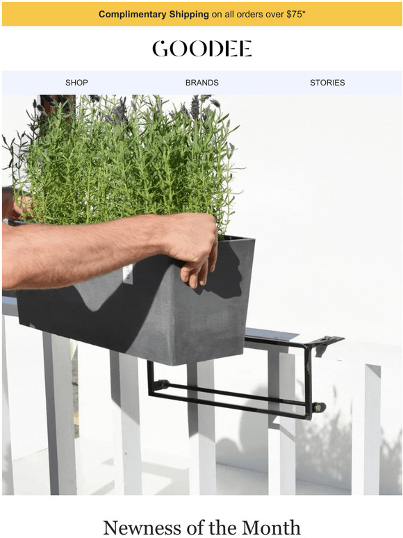 Goodee World: Explore our newest arrivals for better living | Milled