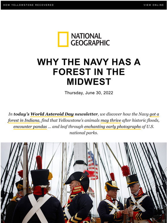 National Geographic: The U.S. Navy has a forest | Milled