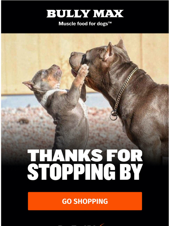 Bully Max: Thanks for stopping by Bully Max! | Milled