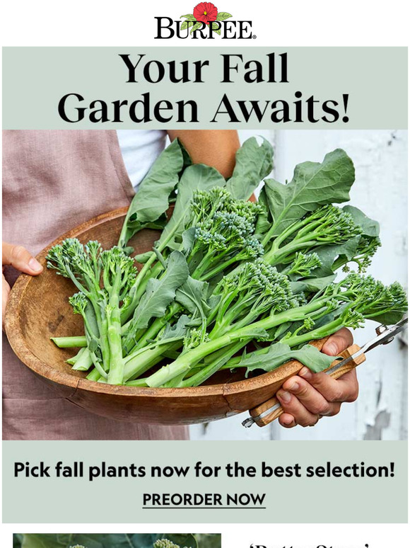 Burpee: Plant for Fall - Preorder NOW! | Milled