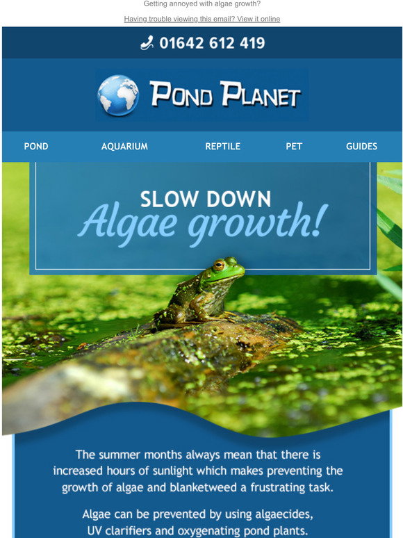 Pond Planet: How to slow down algae growth | Milled