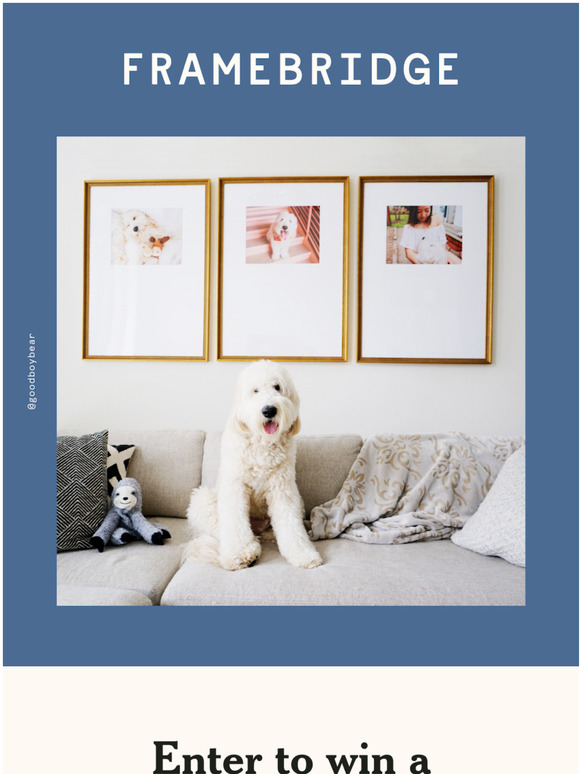 Framebridge: Want to win a FREE Triptych? | Milled