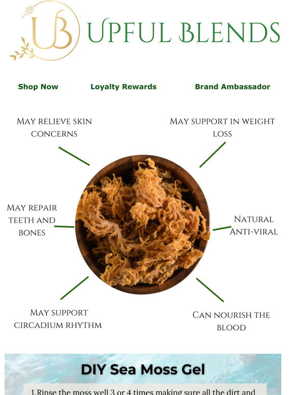 Upful Blends: Sea Moss: A Local, Sustainable EPIC Sea Veggie 🌊 | Milled