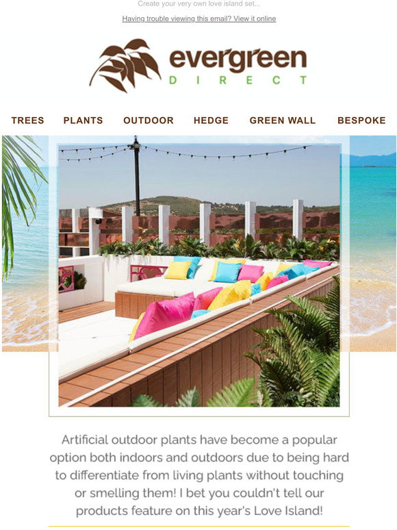 Evergreen Direct: —, You've got an email 🌴 | Milled