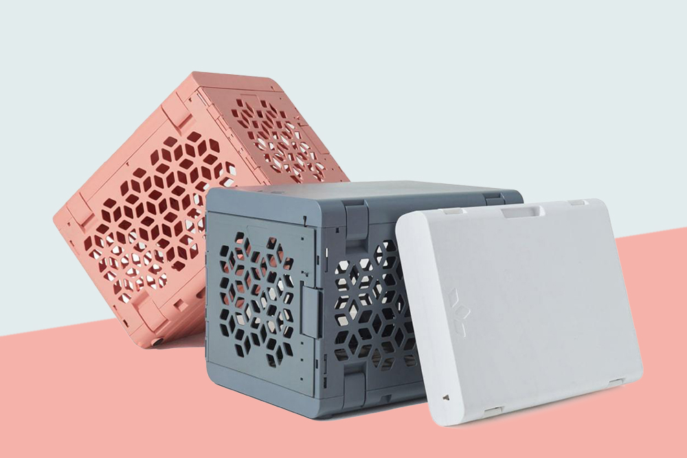 KindTail: Welcome to the KindTail pack 🐕 | Milled