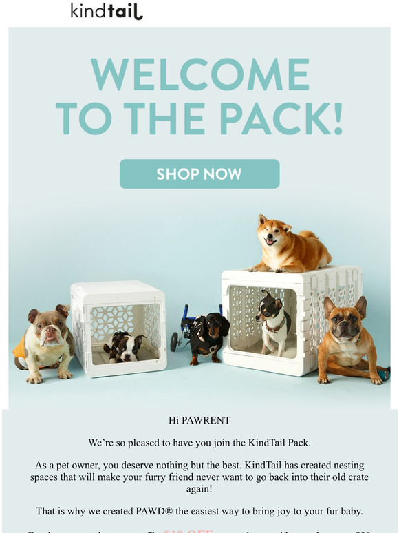 KindTail: Welcome to the KindTail pack 🐕 | Milled