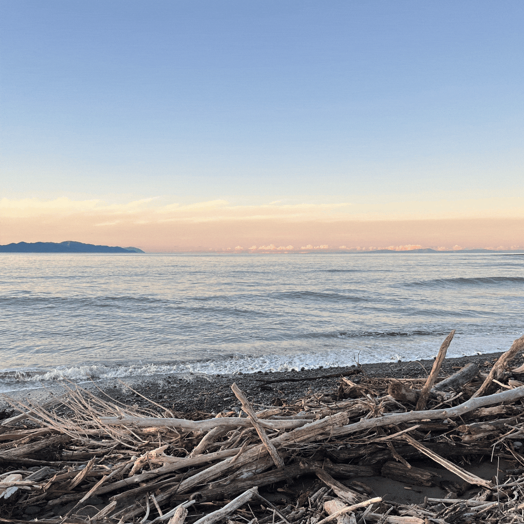 MABLE: 4 Ways to Celebrate Clean Beaches Week🌊💪 | Milled