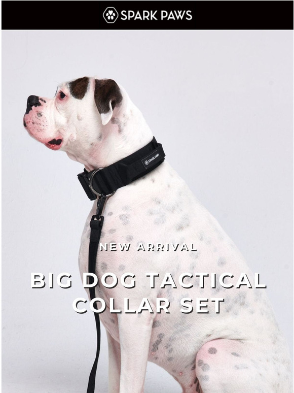 Spark Paws: Introducing The Big Dog Tactical Collar Set!🐶 | Milled