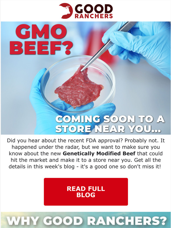Good Ranchers: GMO CATTLE? 🐄 FDA approves GMO Beef for market | Milled