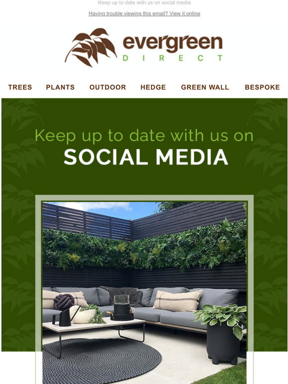evergreen direct: Let’s branch out — | Milled