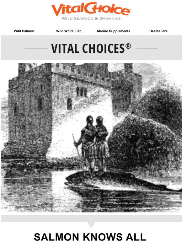 Vital Choice: Discover the significance of salmon in Welsh folklore ...