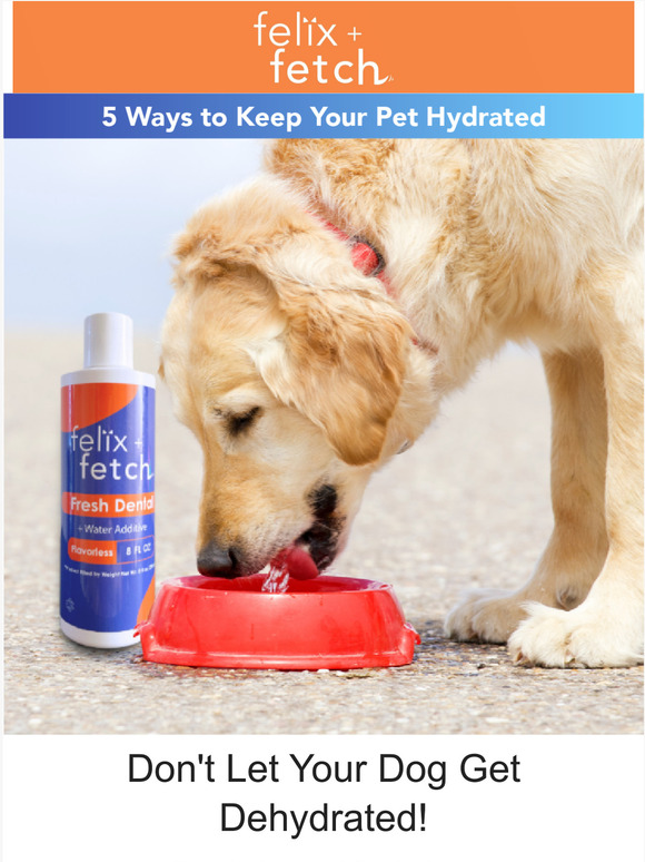 Felix + Fetch: 💦 Is Your Pet Dehydrated? | Milled
