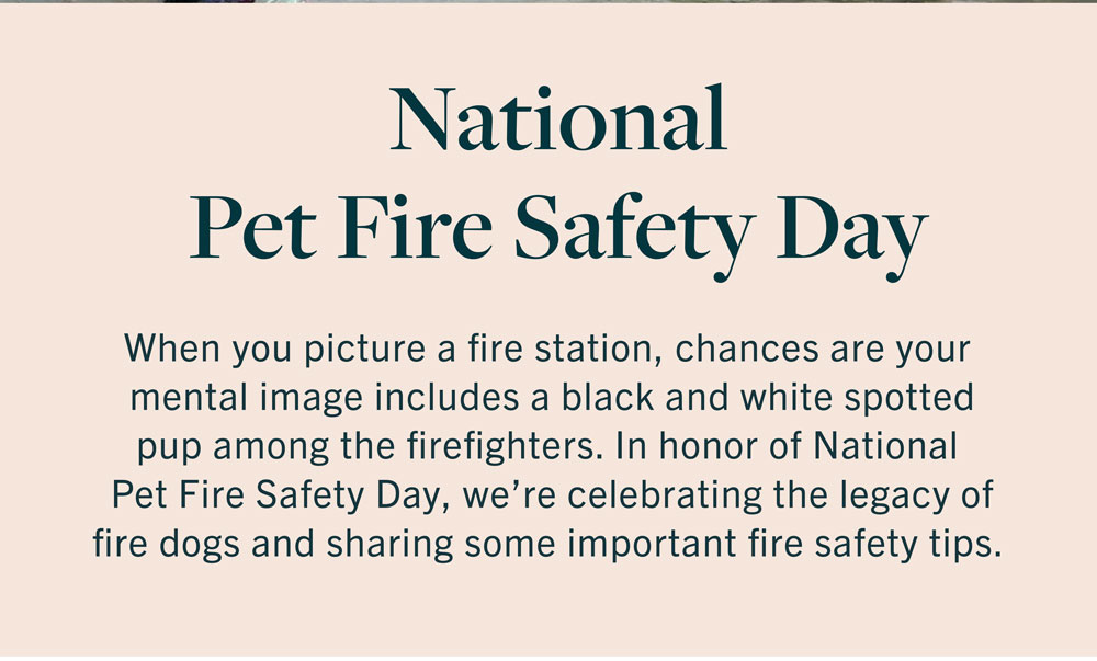 Diggs: Fire Safety Tips for Your Pup | Milled