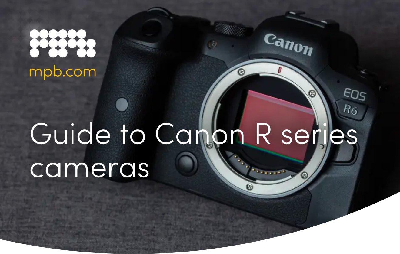 MPB: Guide to Canon R series cameras | Kit for wildlife photography ...