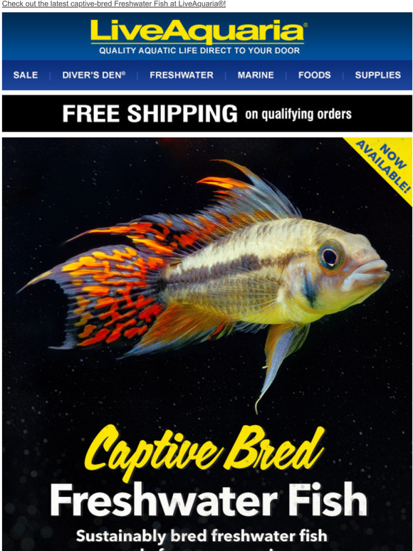 LiveAquaria: All new captive-bred Freshwater Fish now available at ...