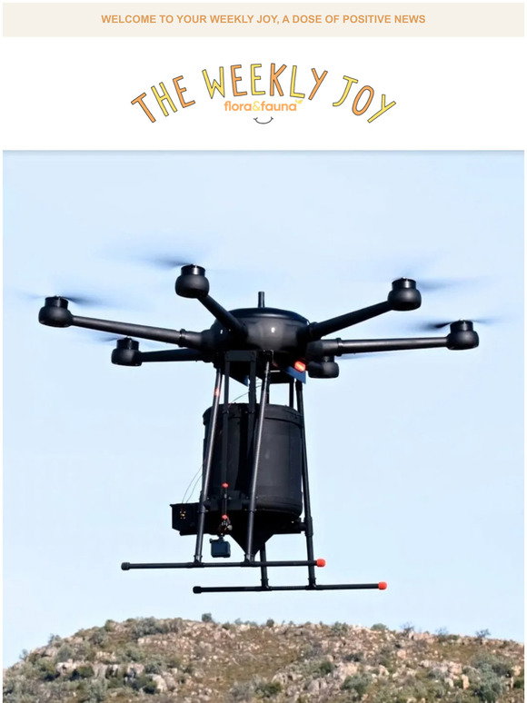 Flora and Fauna: Aussie Start-Up Creates Seed-Firing Drones 🌱 | Milled