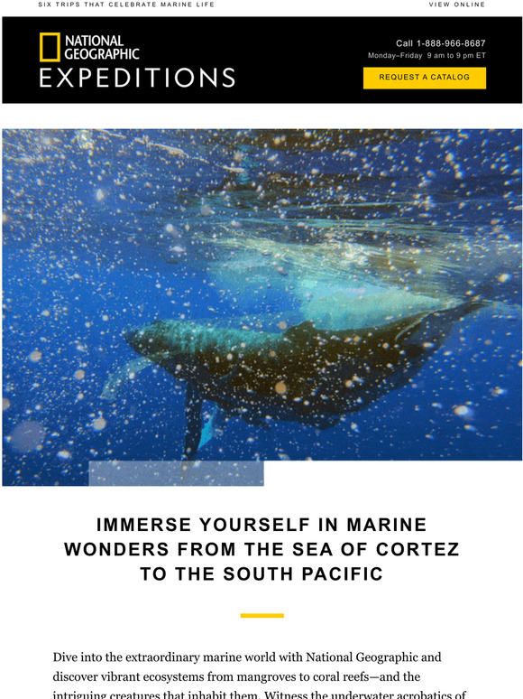 National Geographic: Encounter Amazing Marine Life with Our Experts and ...