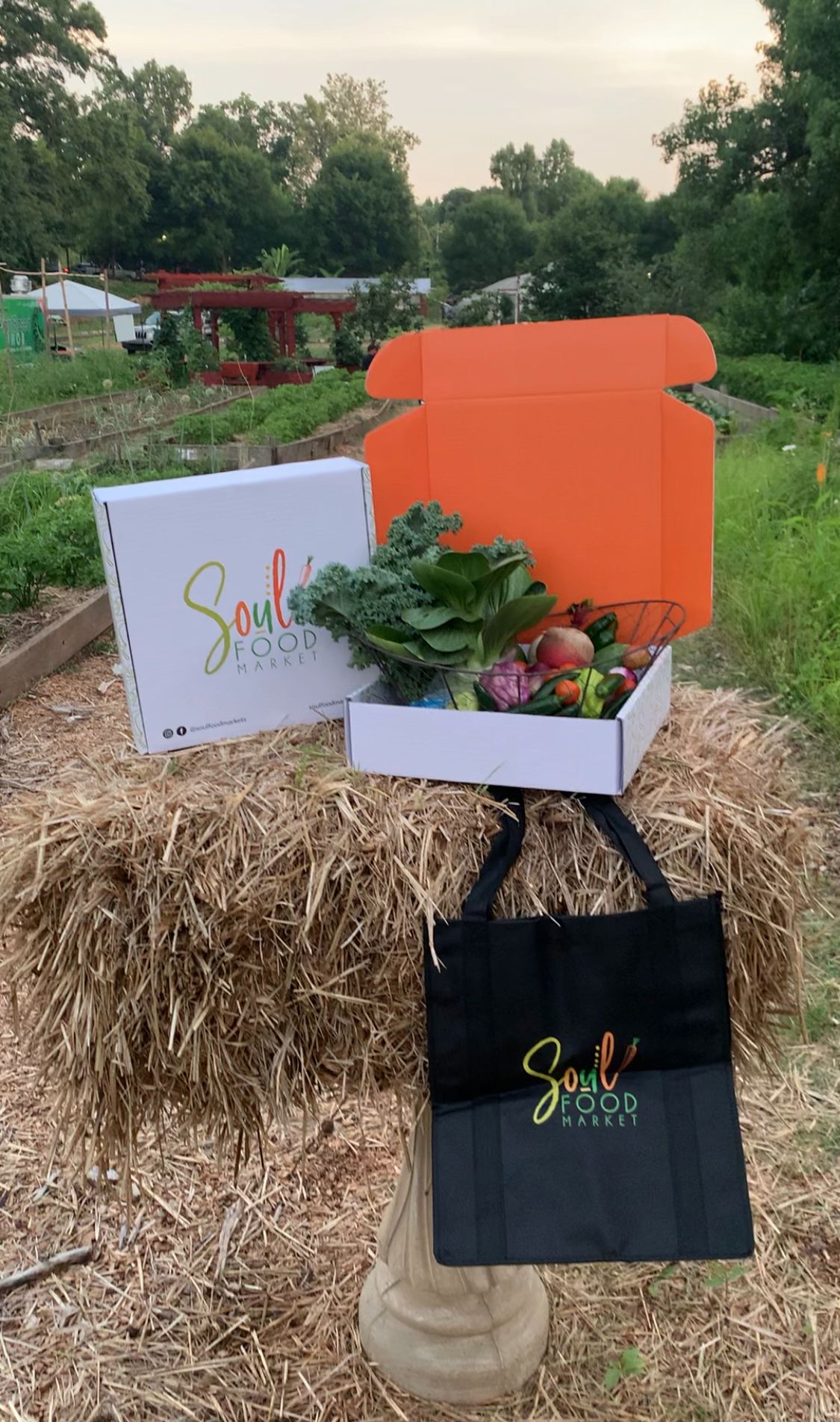 We Buy Black: Introducing Soul Food Market's Subscription Box! 😱 | Milled