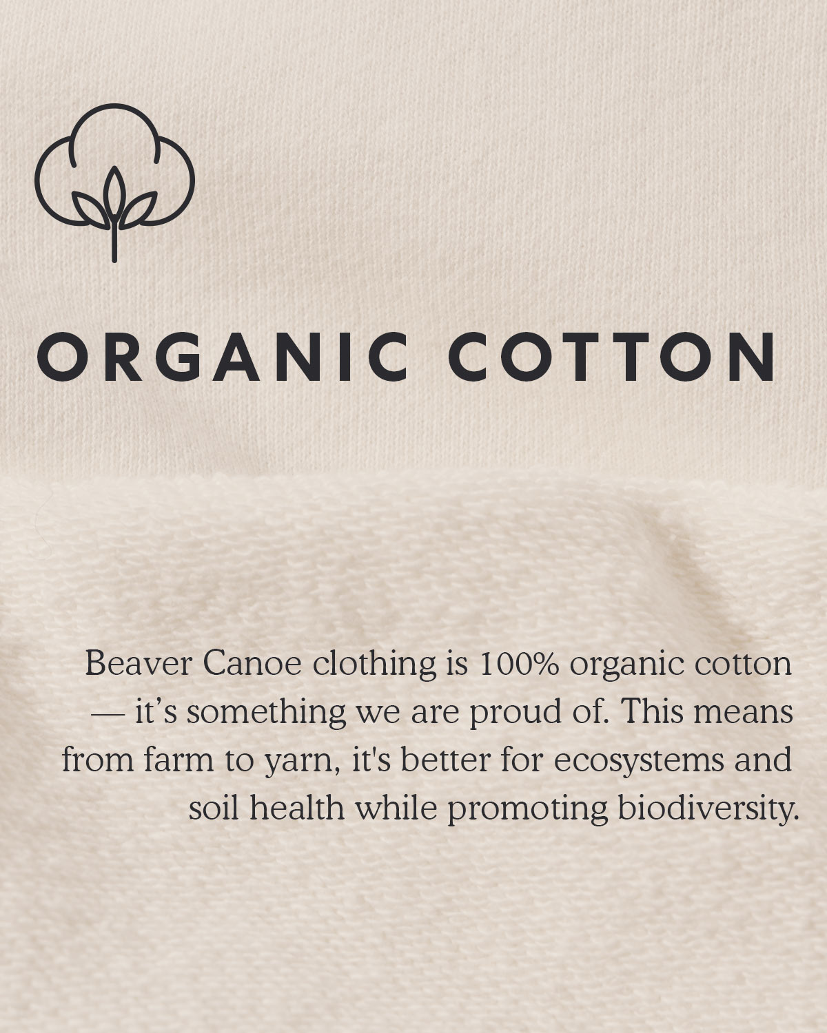 Roots: Don’t Miss These Beaver Canoe Colours | Milled