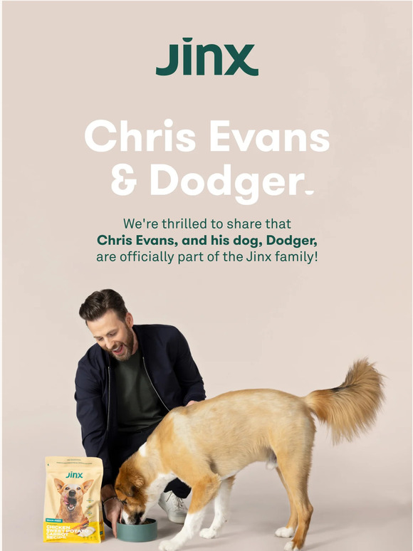 Jinx: Meet the newest members of the Jinx fam | Milled