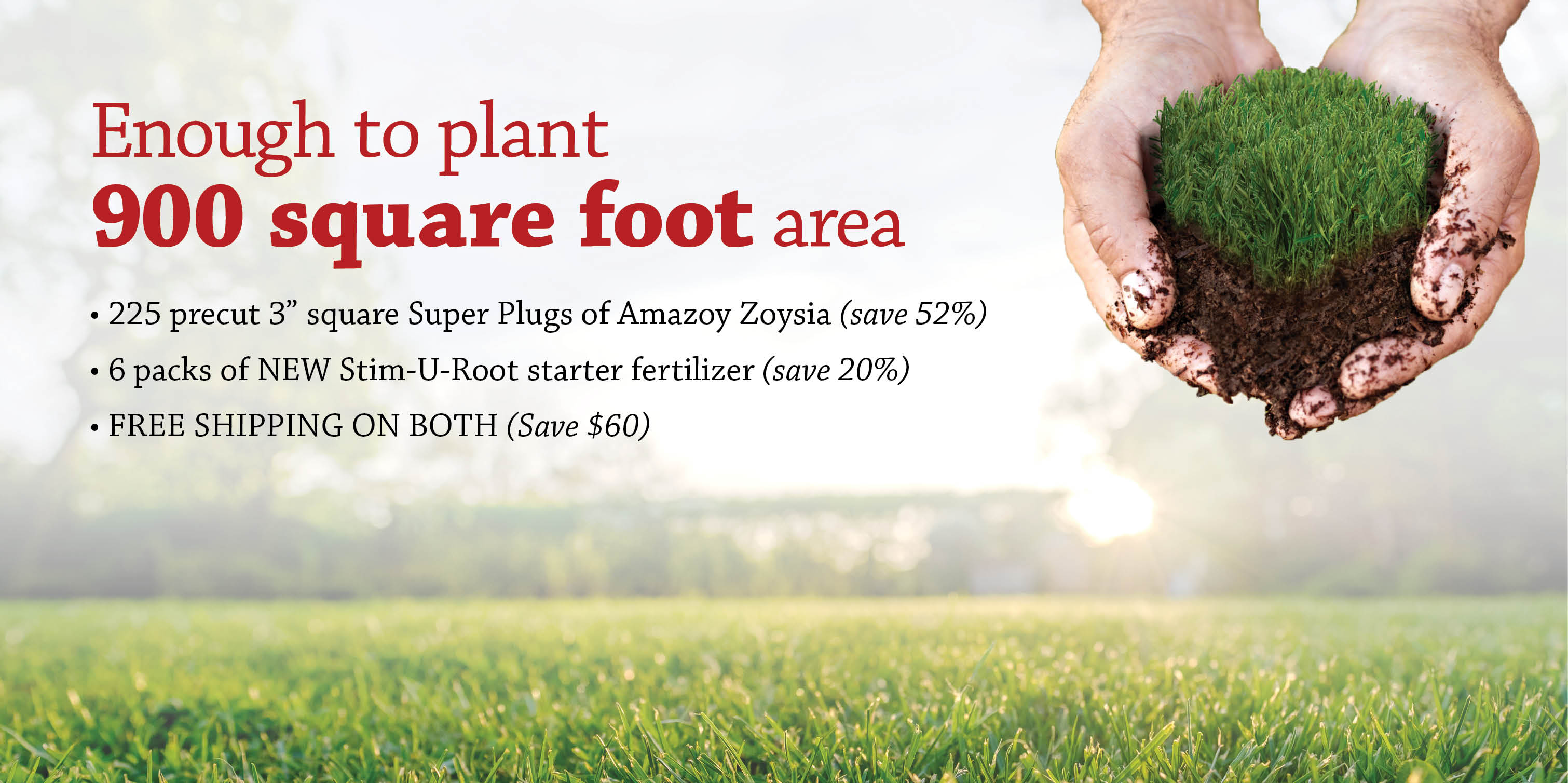 Zoysia Farms: Free Shipping on Special Super Plugs & Fertilizer Pack ...