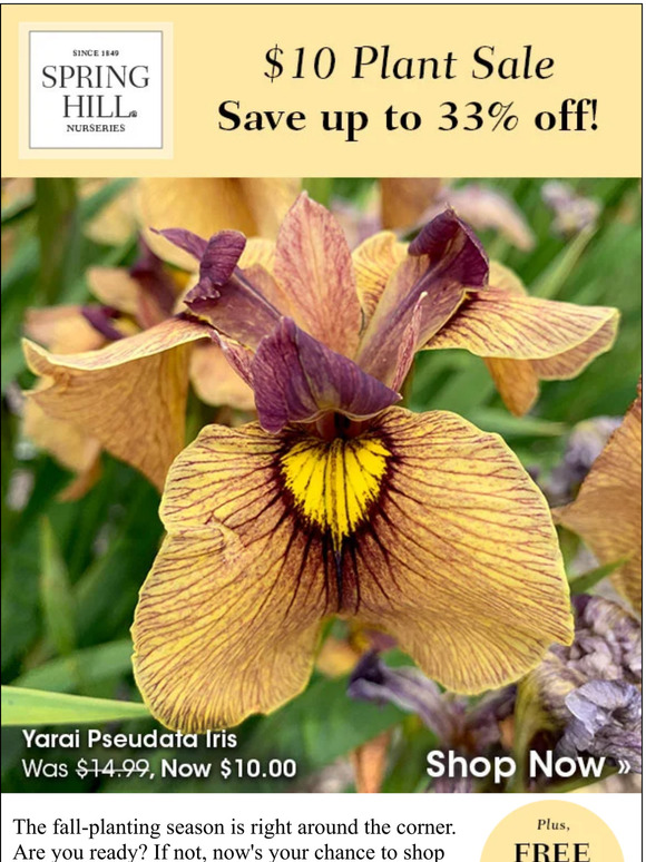 Spring Hill Nursery: Our $10 Plant Sale starts now 👉 | Milled