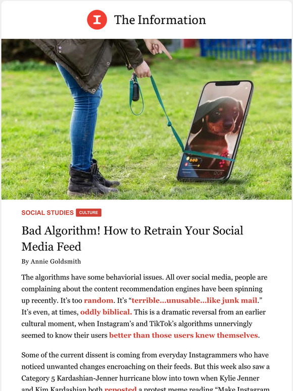 The Information: How to Retrain Your Algorithm: Tips for Feeds Gone ...