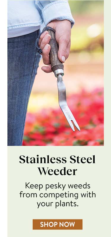 Burpee: Handy Tools for Harvest Season | Milled