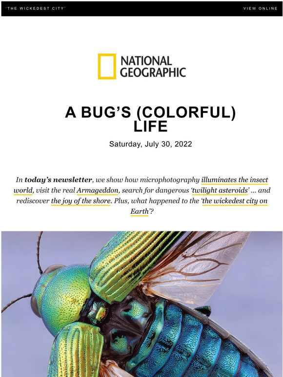 National Geographic: These photos capture the complexity of bugs | Milled