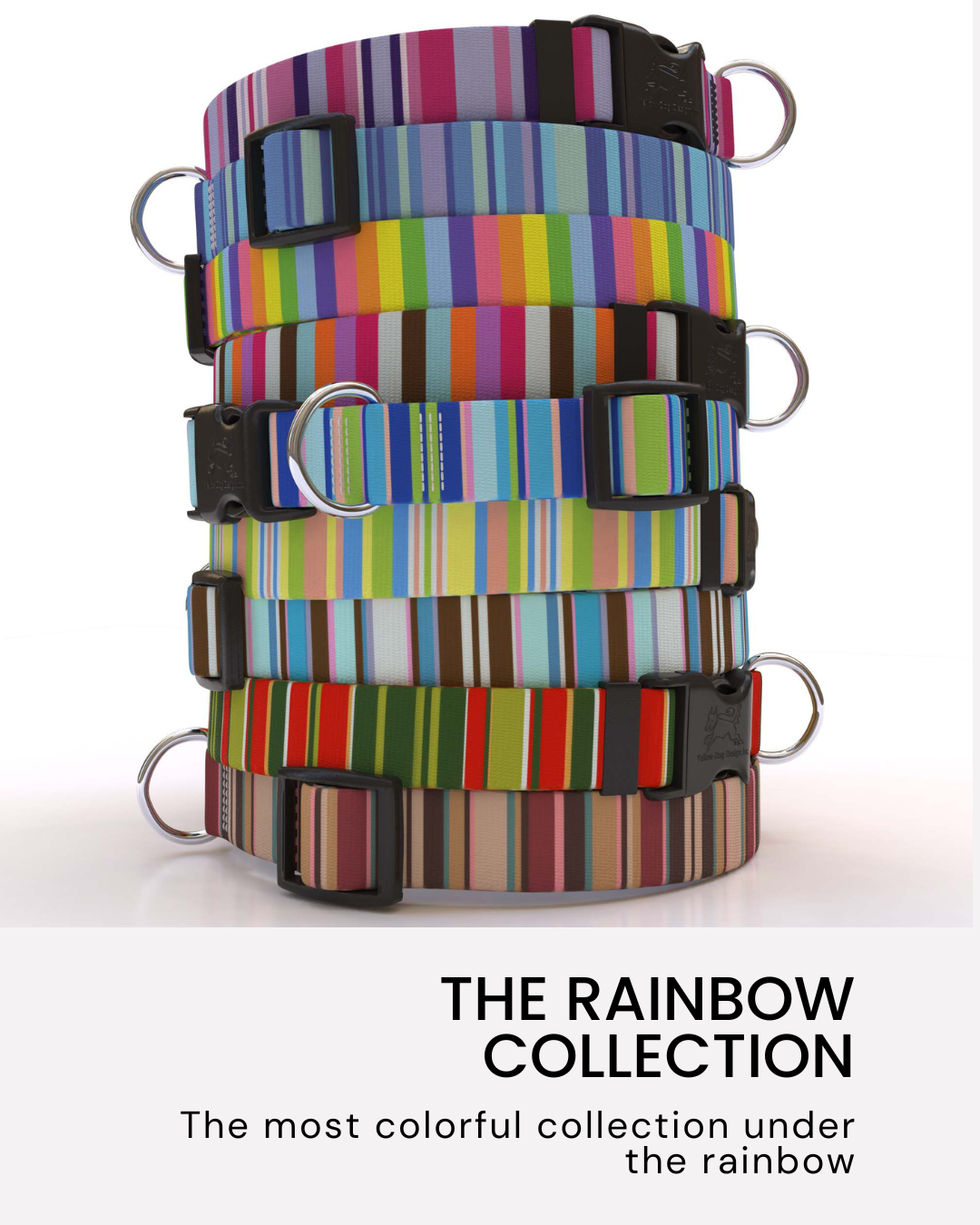 HotDogCollars: The Rainbow Collection | Milled