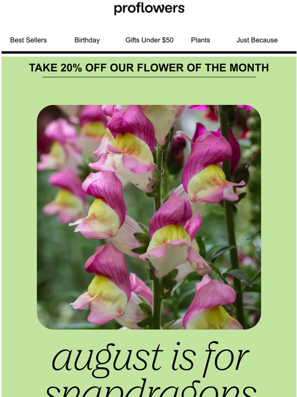 ProFlowers: august flower of the month: snapdragons | Milled