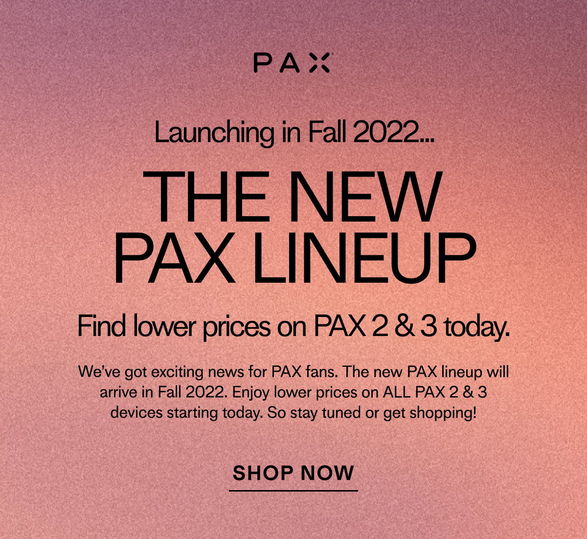 Personal Airline: New PAX Lineup Coming Fall 2022! | Milled
