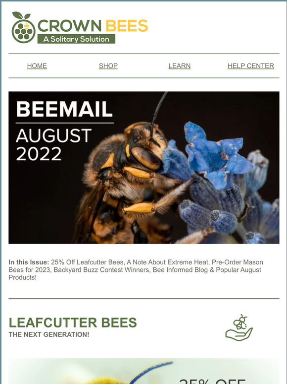 Crown Bees: How To Help Bees in HOT Temperatures | Milled