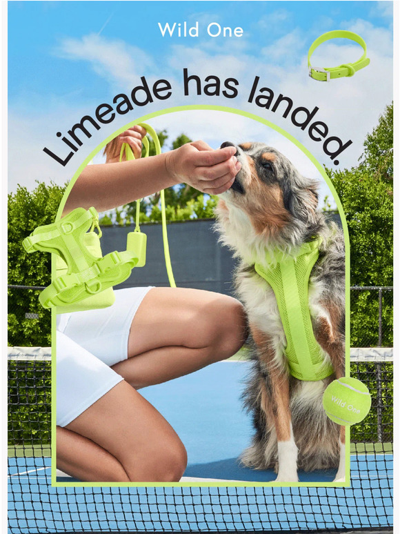 Wild One: It's finally here! Meet Limeade! 🎾 | Milled