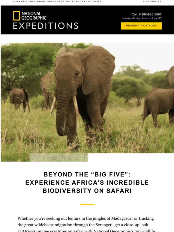 National Geographic: Witness Africa’s Legendary Wildlife with our ...