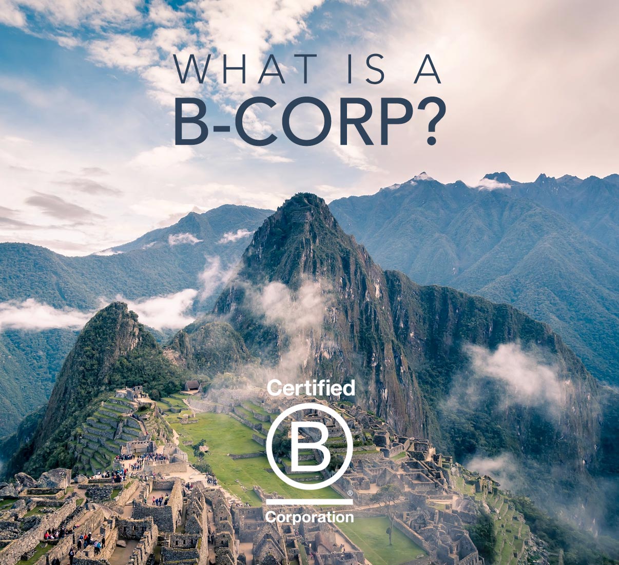 Natural Collection: What Is a B Corp? +£3 off* | Milled