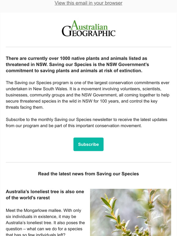 Australian Geographic: Australia’s loneliest tree is also one of the ...