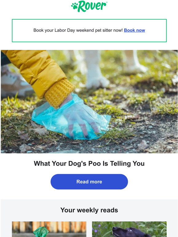 Rover: Everything you need to know about your dog's poo | Milled