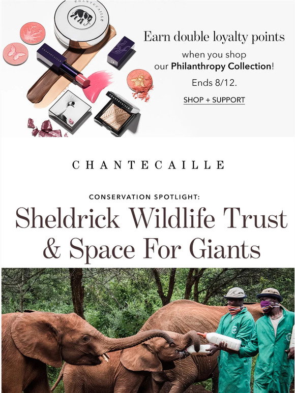 Chantecaille: Why is protecting elephants important? | Milled