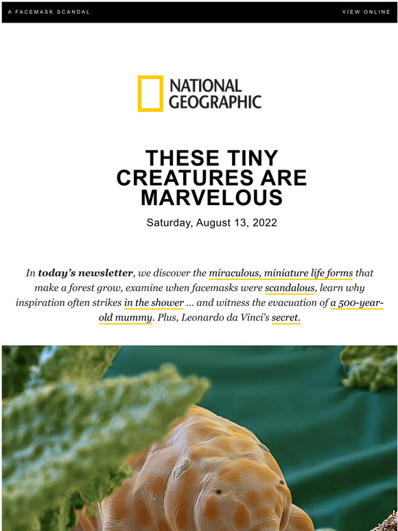 National Geographic: These tiny creatures are marvelous | Milled