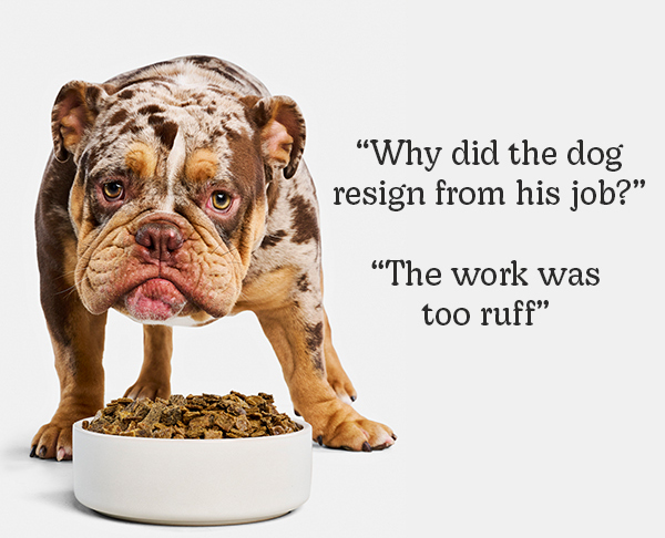Front of the Pack: Is Your Pup Having a ‘Ruff’ Day? | Milled