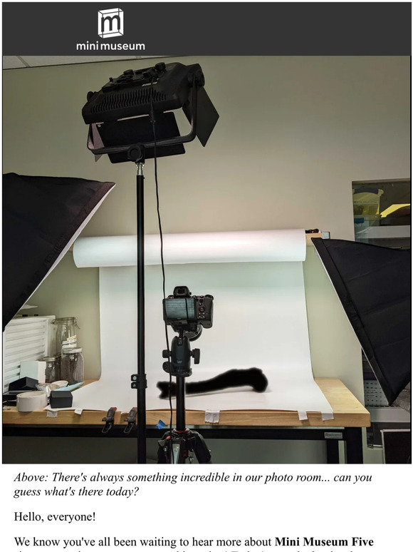 Mini Museum: A Look Behind the Scenes... at Mini Museum 5! | Milled