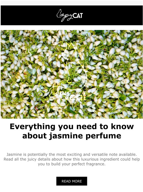 Copycat Fragrances: Do you know why jasmine’s the best fragrance ...