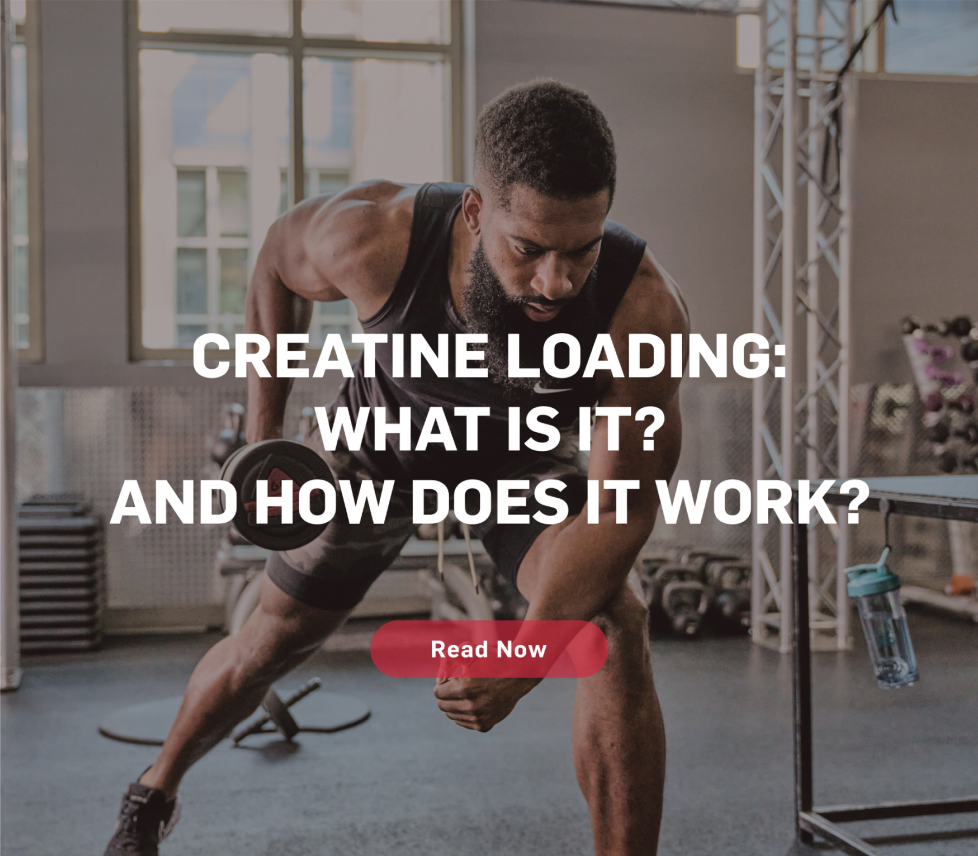 BlenderBottle: What is Creatine Loading and How Does It Work? | Milled