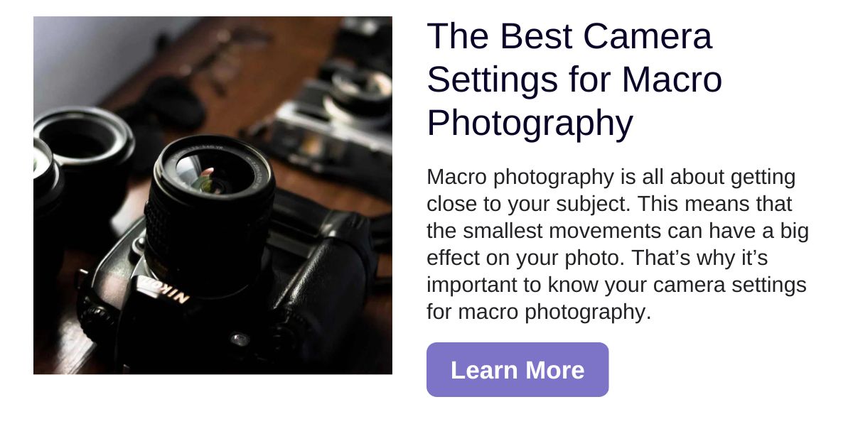 Photographycourse.net: The Best Camera Settings for Macro Photography ...
