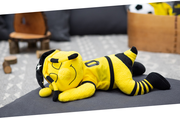 Borussia Dortmund: The BVB baby articles: Start small, make it big 😍 ...