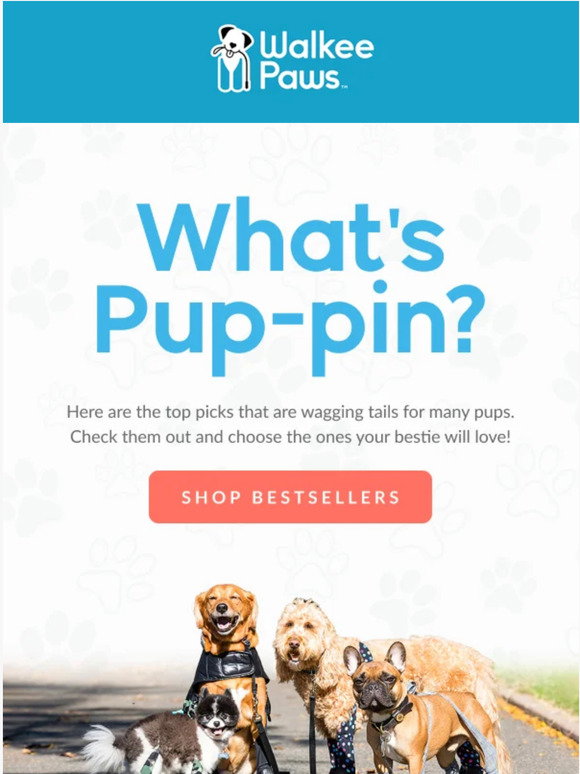 Walkee Paws: 🐶 These items will definitely wag some tails | Milled